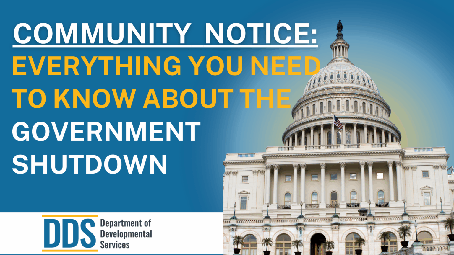 Everything You Need to Know About The Government Shutdown from DDS